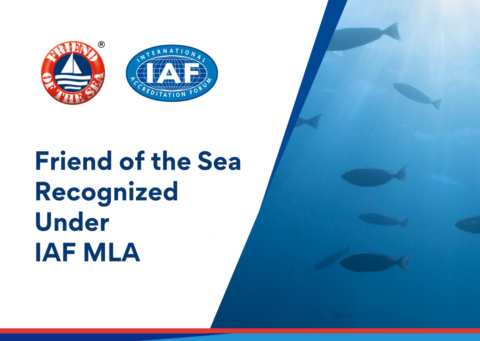 IAF and WSO Sign Scheme Endorsement Agreement - IAF